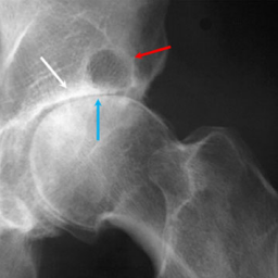 Fichiers - FichesBook